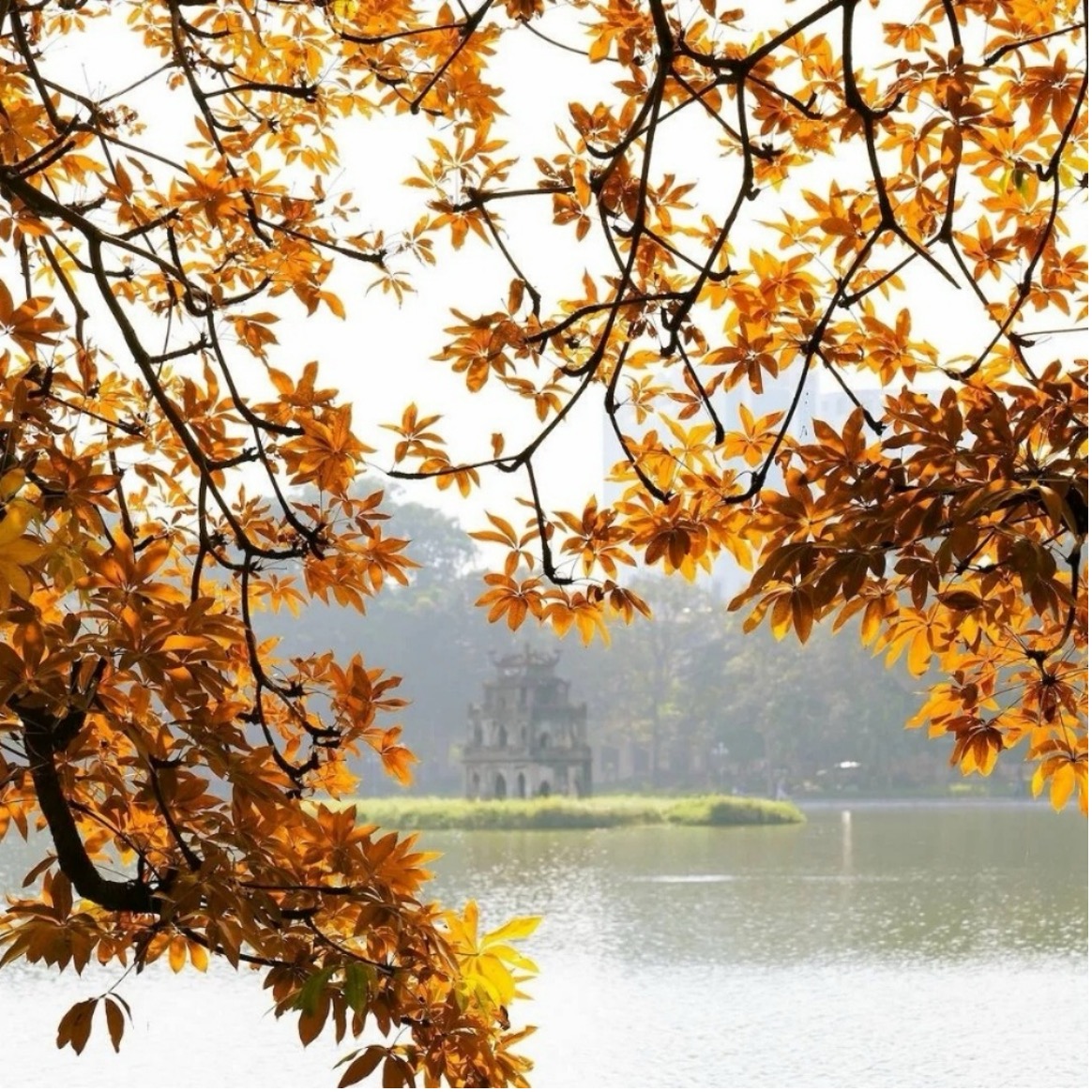 Hanoi Named Among the Best Autumn Foliage Destinations in Asia - The ...